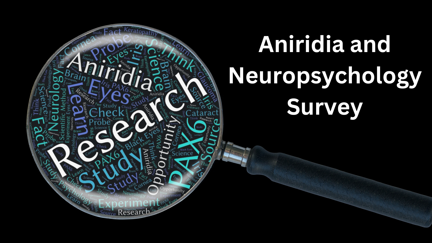 Aniridia and Neuropsychology Survey
