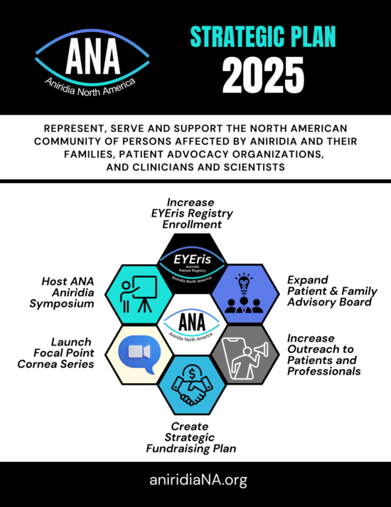 2025 Strategic Plan | Aniridia North America